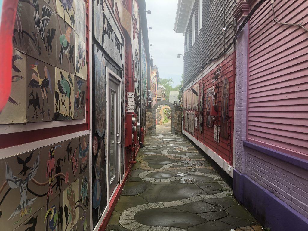 Photos from Our July Fourth Weekend Trip to Provincetown - Purple Light ...