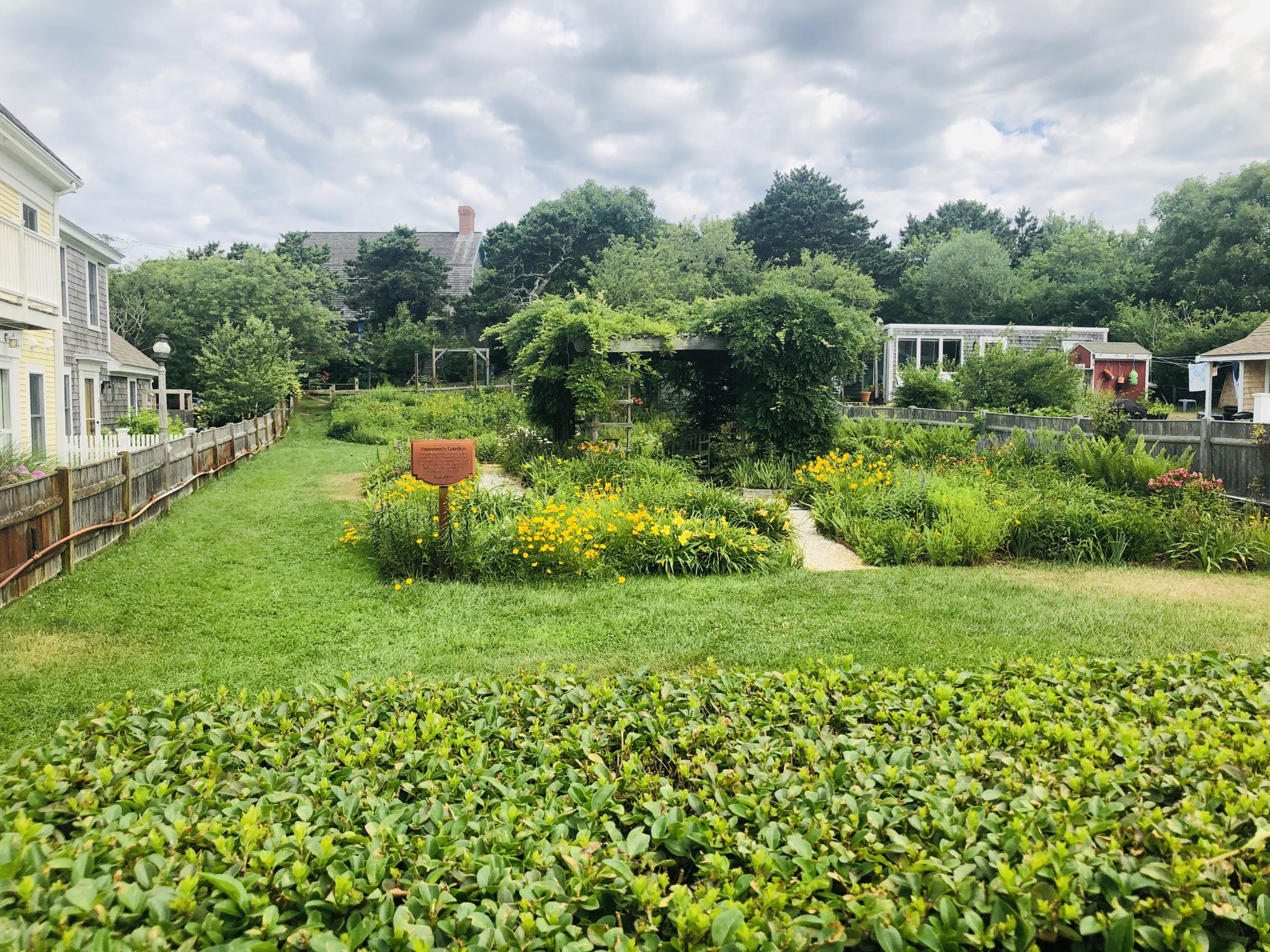 Photos from Our July Fourth Weekend Trip to Provincetown - Purple Light ...