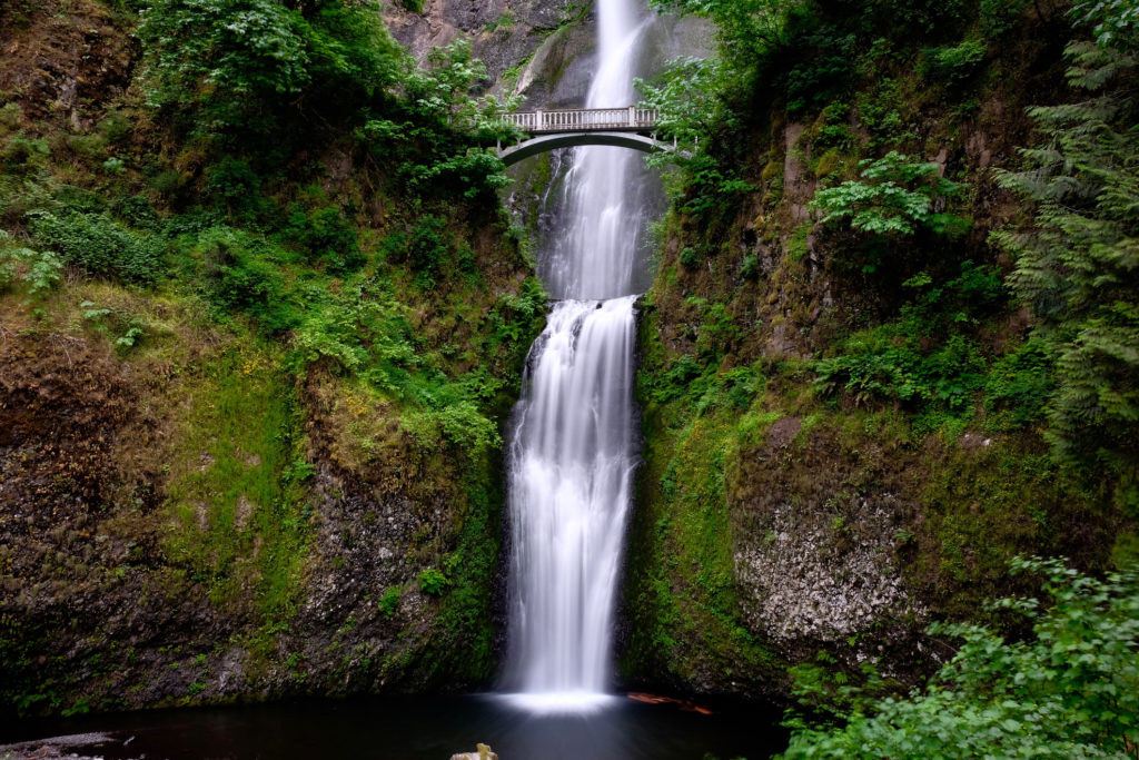 Portland Still Special Even During COVID-19 - Purple Light Vacations