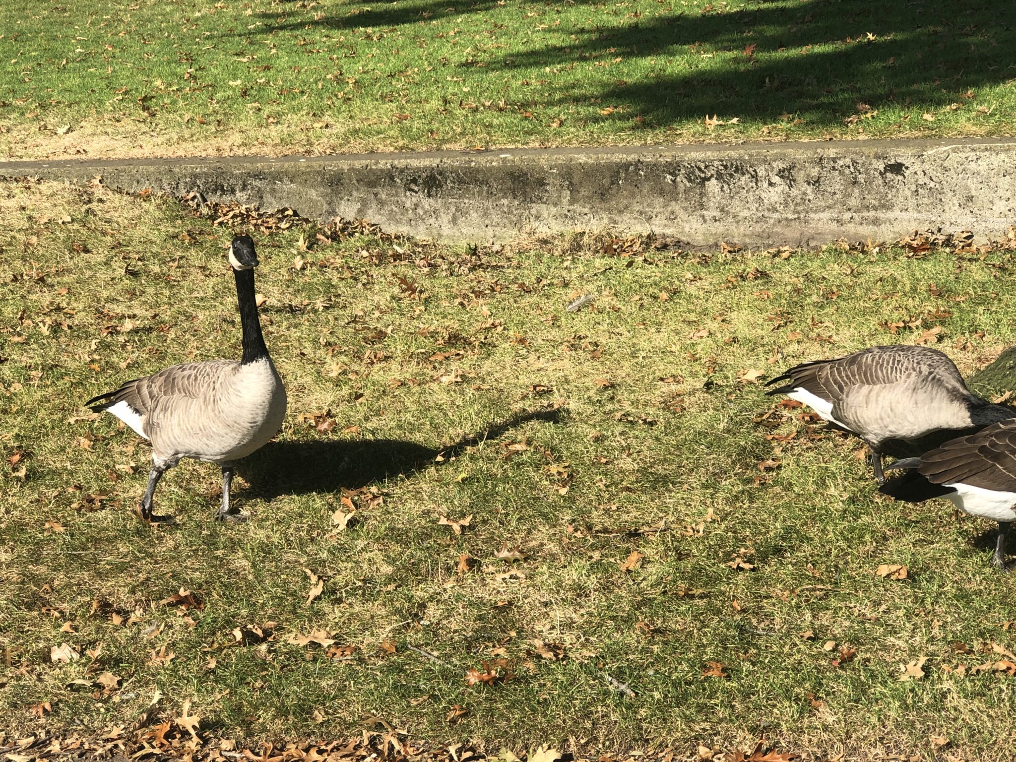 Portland Photos from Our Trip - Purple Light Vacations