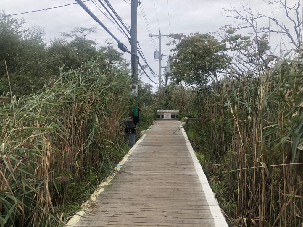 What Makes Fire Island A Unique LGBT Destination - Purple Light Vacations