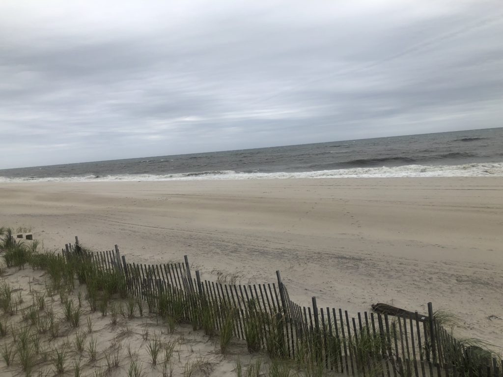 What Makes Fire Island A Unique LGBT Destination - Purple Light Vacations