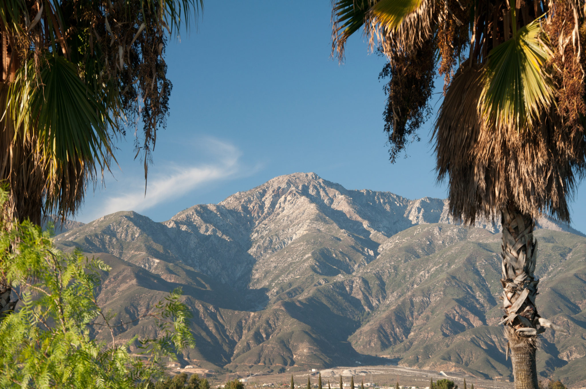 Palm Springs-Top Things to See and Do - Purple Light Vacations